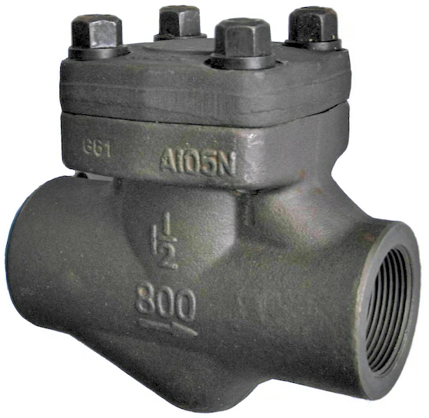 Swing Check Valve 2x800 Lbs A105 • Projectmaterials