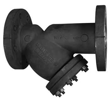 Strainer 1.5x300 Lbs A216 WCB • Projectmaterials